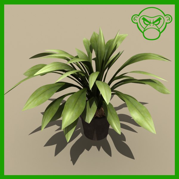 maya small plant set