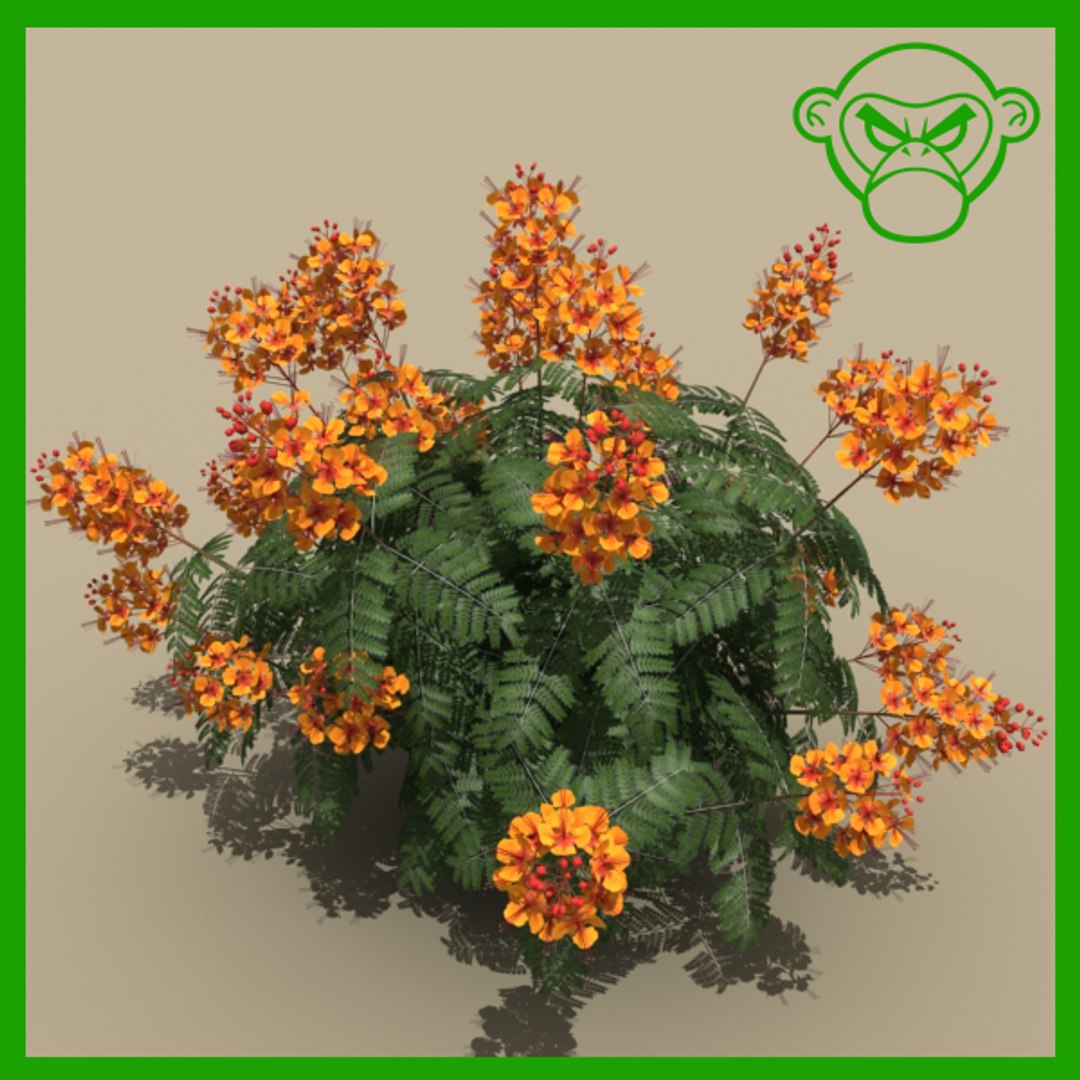 maya small plant set