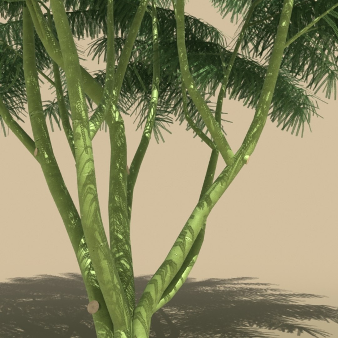 maya small plant set