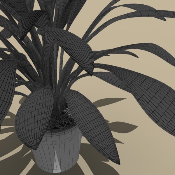 maya small plant set