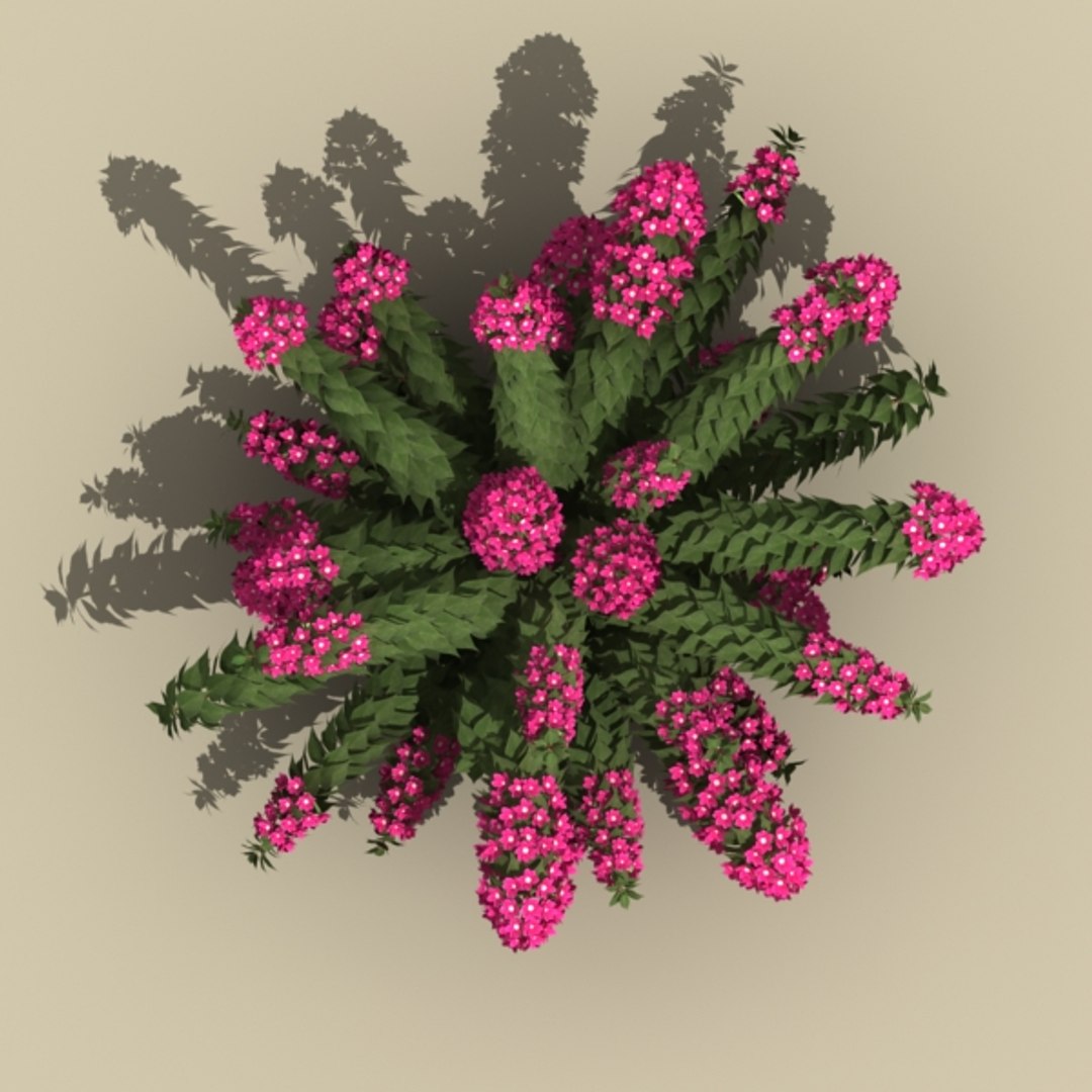 maya small plant set