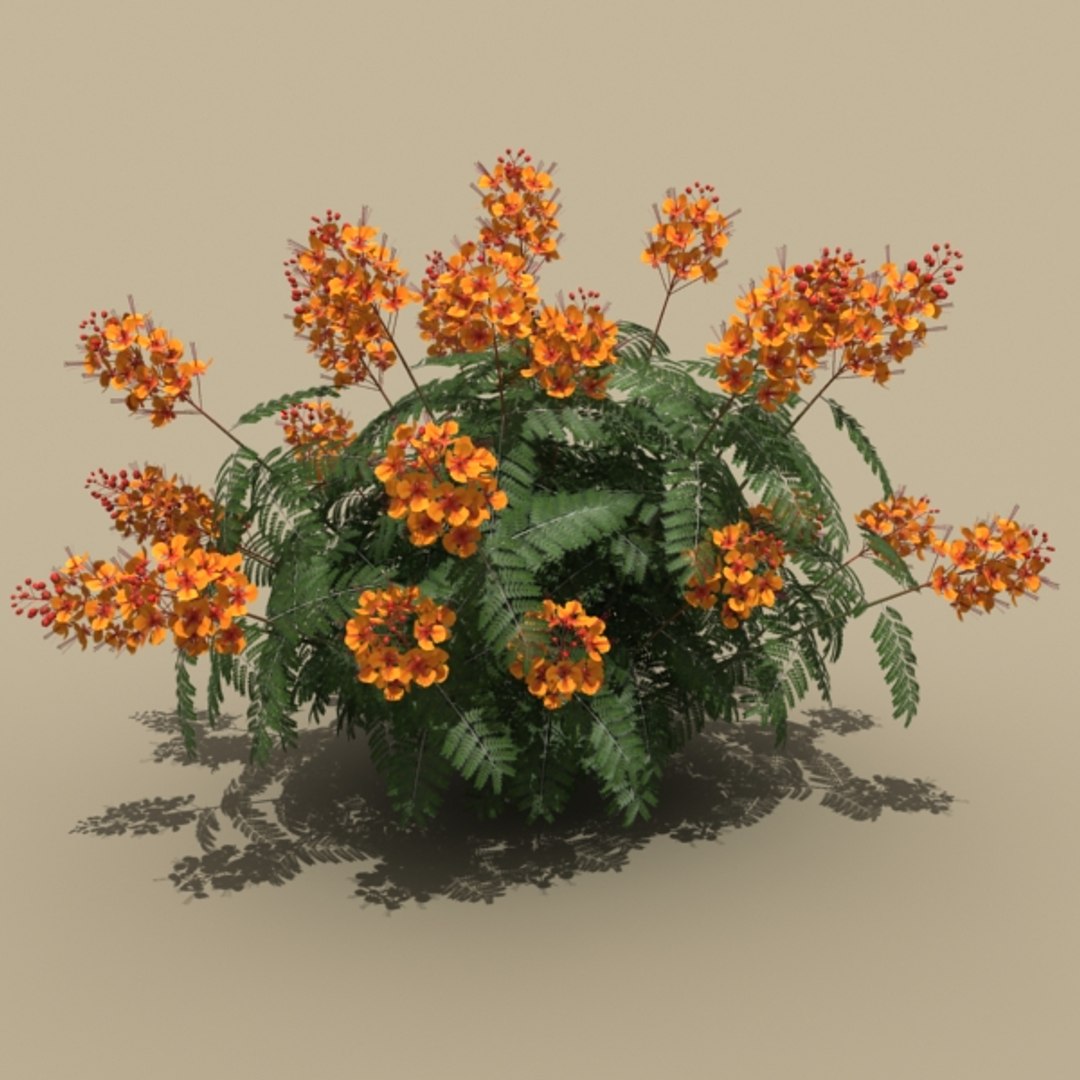 maya small plant set