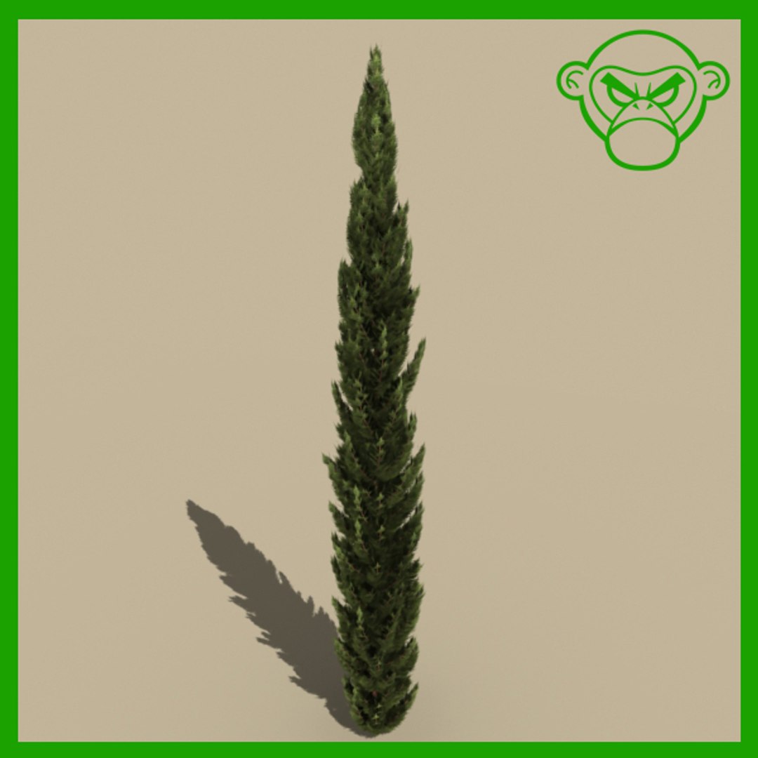 maya small plant set