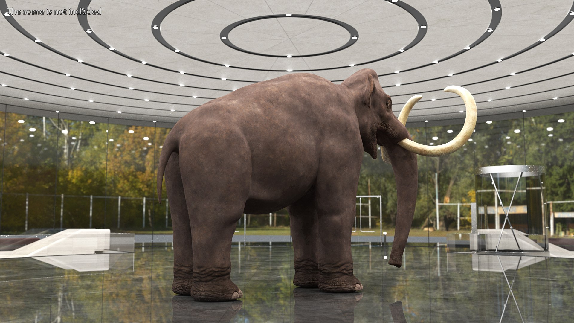 Mammoth Adult Rigged For Modo 3D Model - TurboSquid 1859780