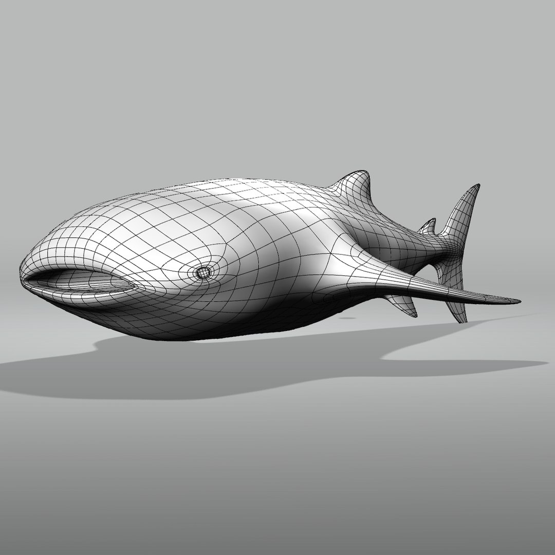 3d whale shark model