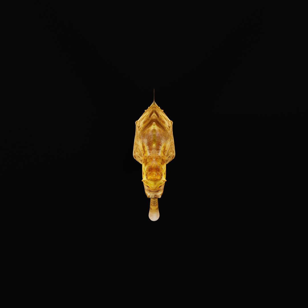 3D Model Seahorse Bony Fish - TurboSquid 2305504