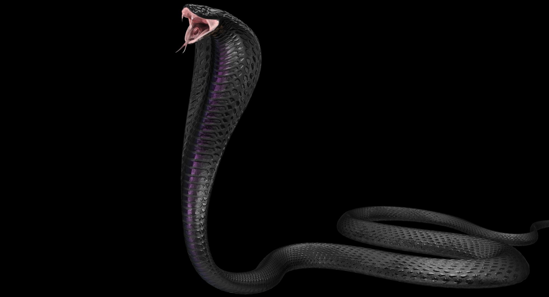 3ds Legionis Cobra