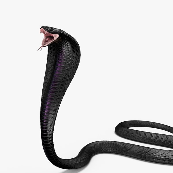 Cobra 3D Models for Download | TurboSquid