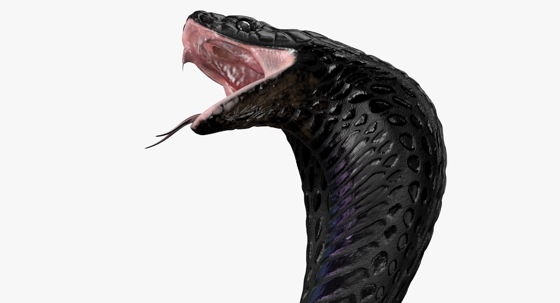 3ds Legionis Cobra