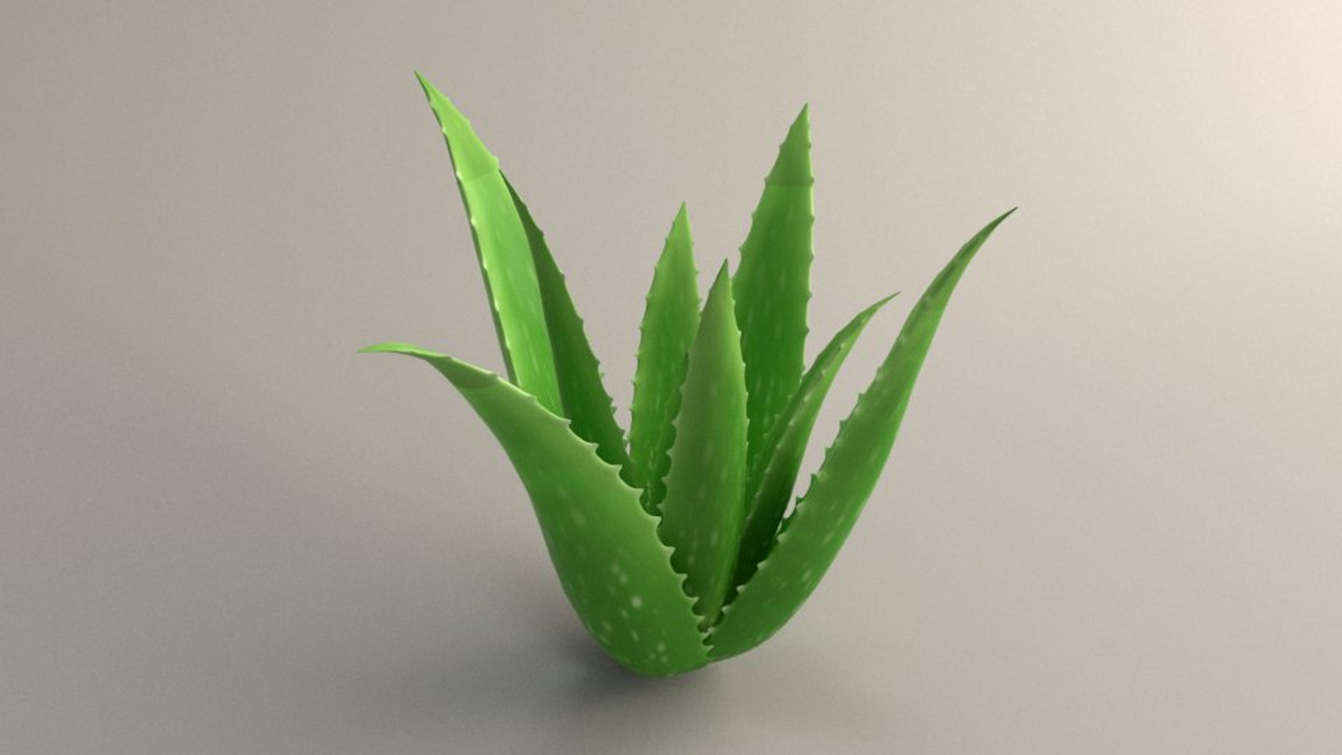 aloe vera 3d obj