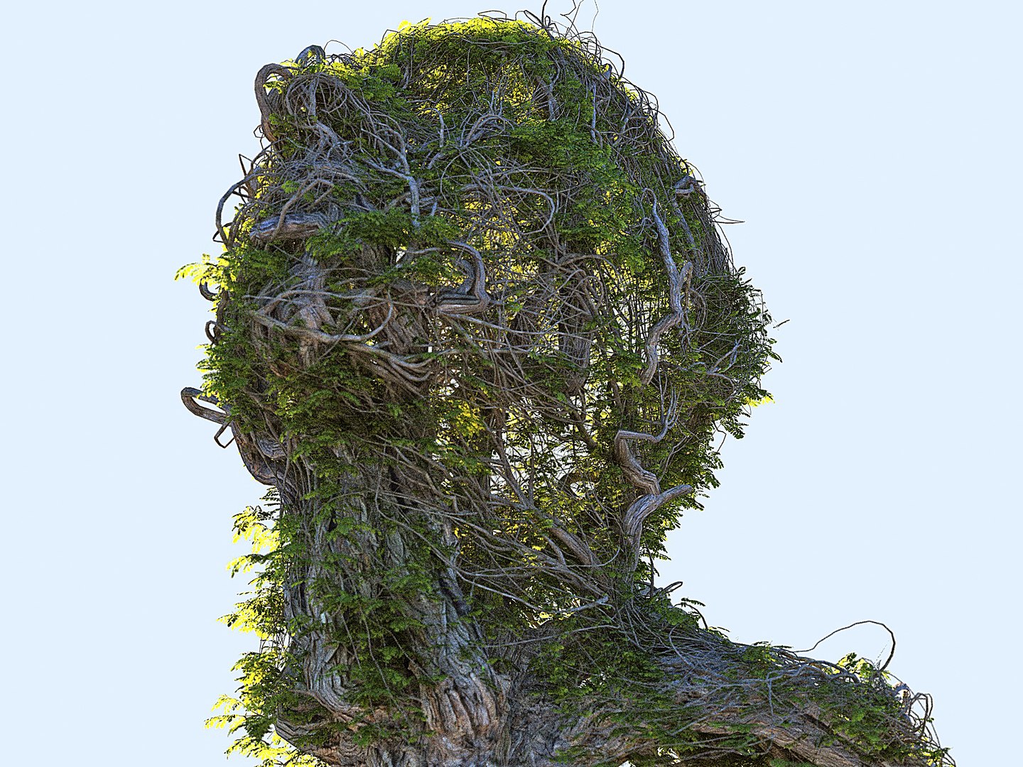 Tree Head Hd 3D - TurboSquid 1287343