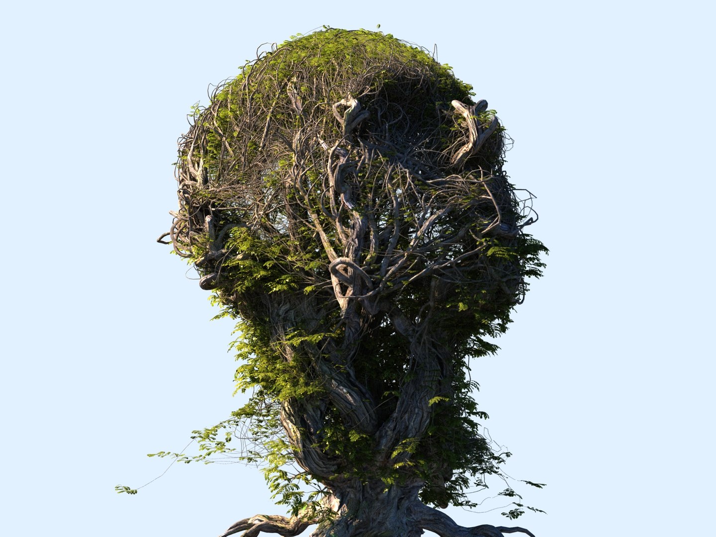 Tree Head Hd 3D - TurboSquid 1287343