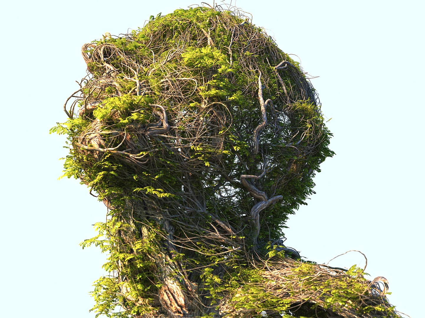 Tree Head Hd 3D - TurboSquid 1287343