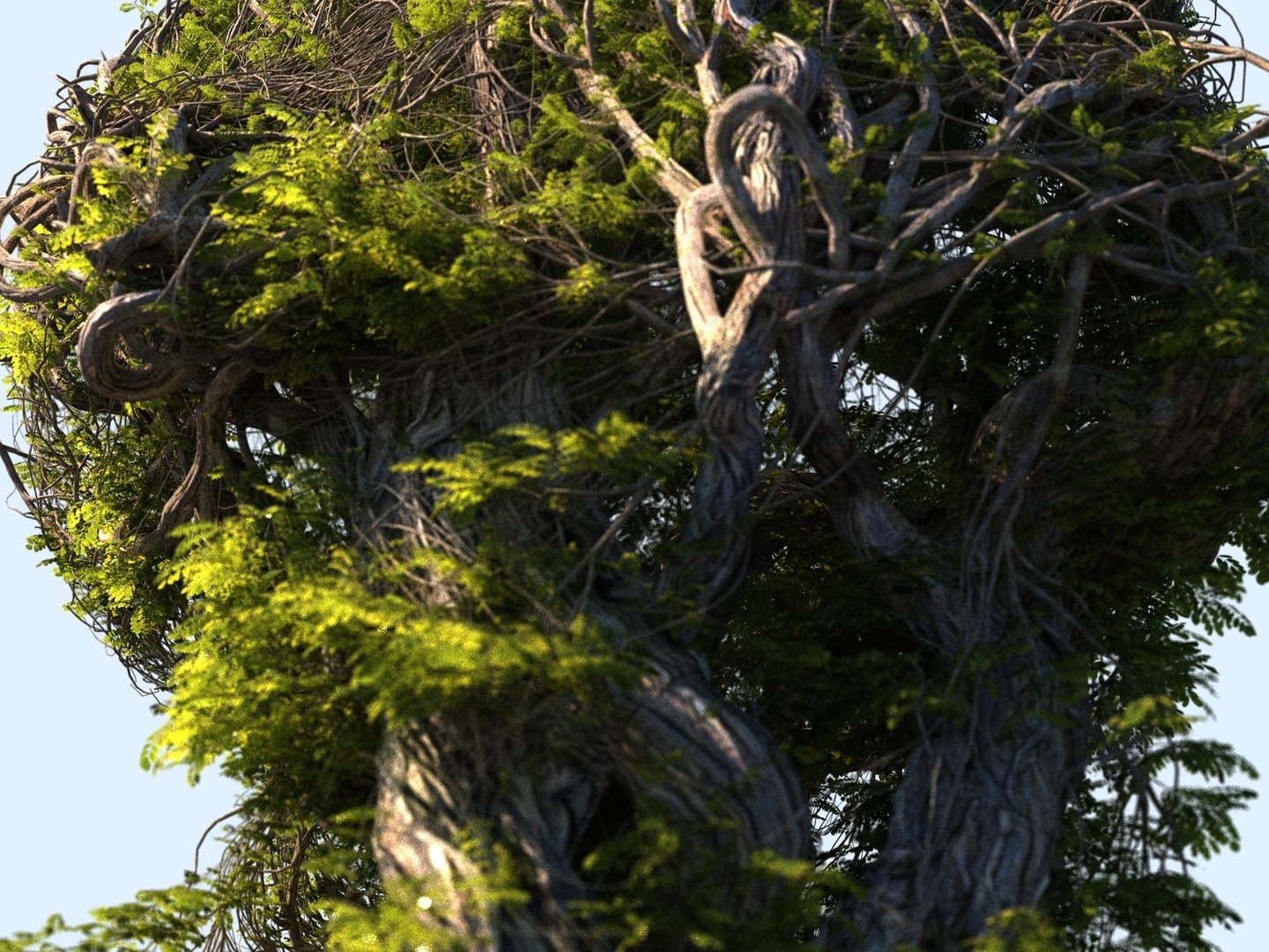 Tree Head Hd 3D - TurboSquid 1287343