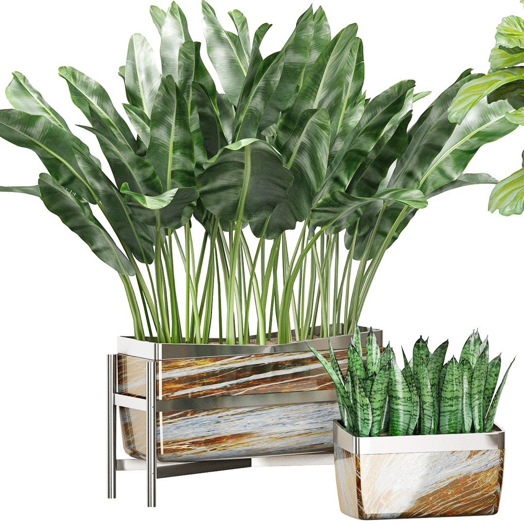 Potted Plants Set 43 Model - TurboSquid 1562550