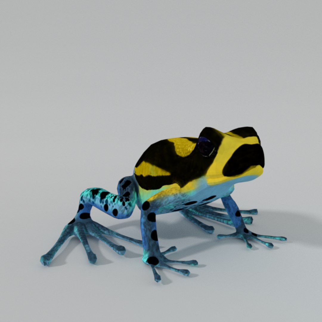 3D Amazonian Frog - TurboSquid 1316749