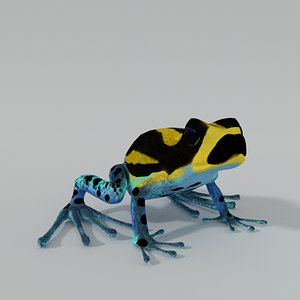 Tree Frog STL Models for Download | TurboSquid