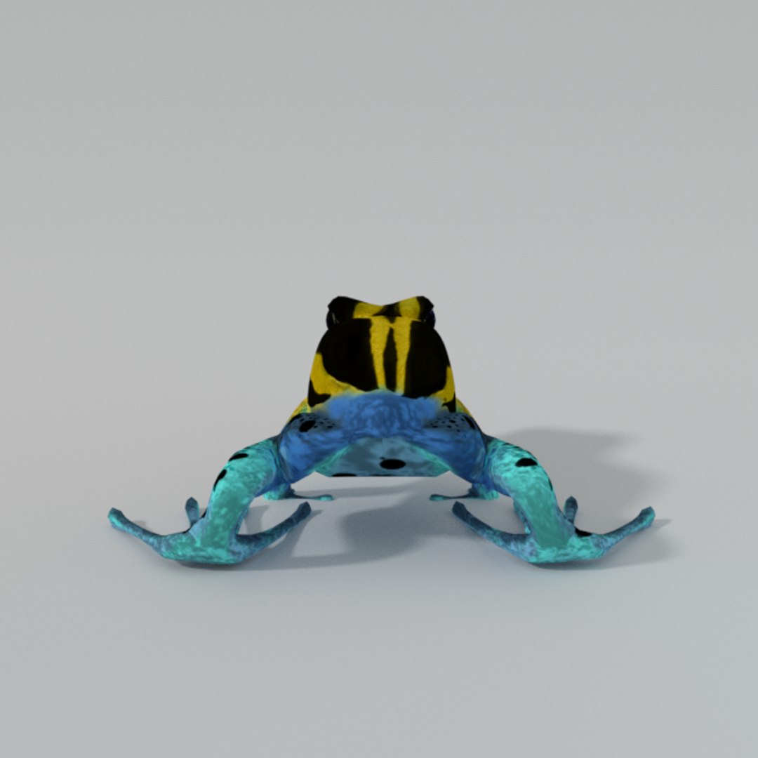 3D Amazonian Frog - TurboSquid 1316749