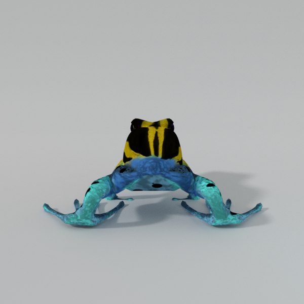3D amazonian frog - TurboSquid 1316749