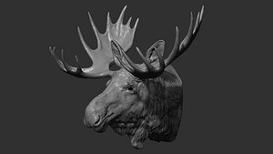 Free 3D Moose-Head Models | TurboSquid