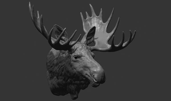 modelo 3d Cabeza de alce de alce - TurboSquid 1775379