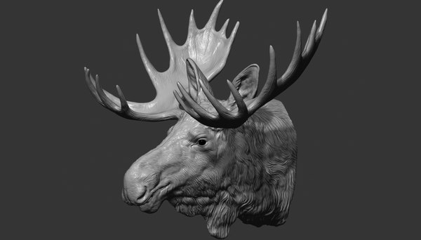 modelo 3d Cabeza de alce de alce - TurboSquid 1775379