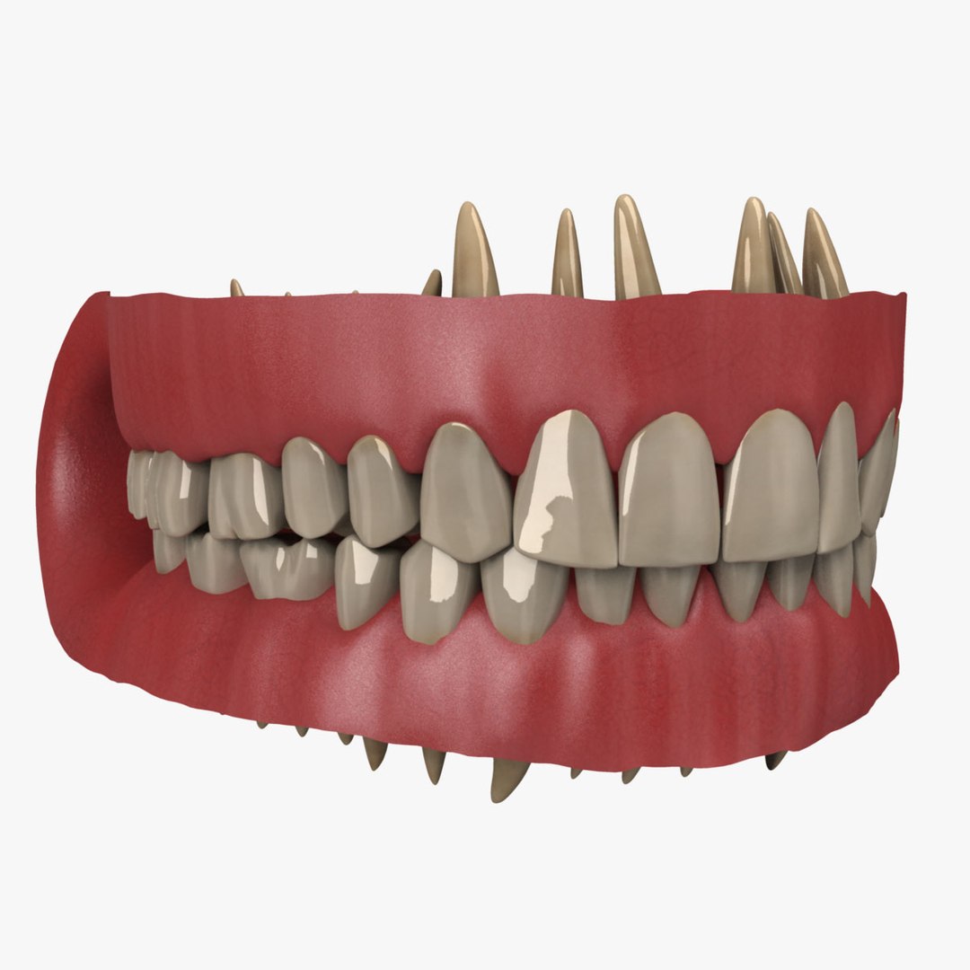 human teeth gums 3d obj
