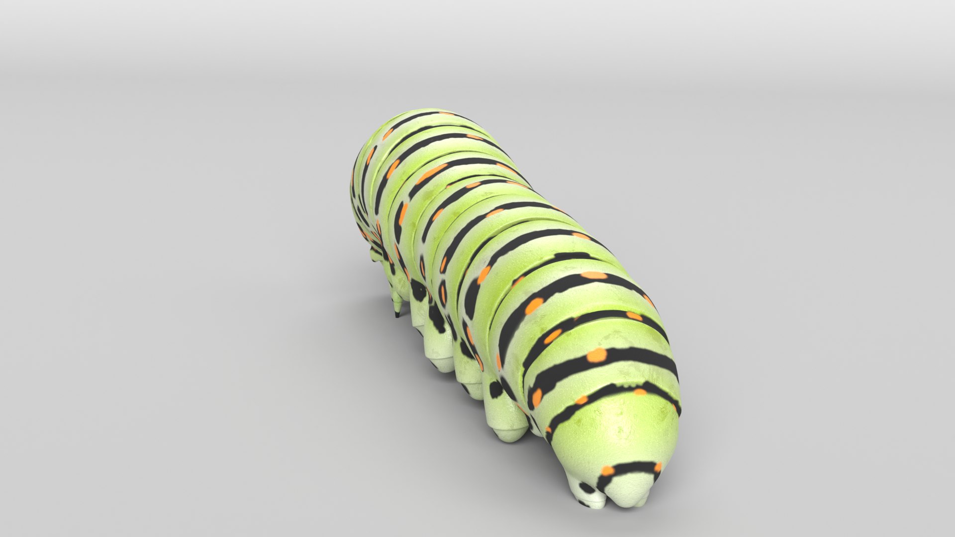 Animated Caterpillar 3D Model - TurboSquid 1918584