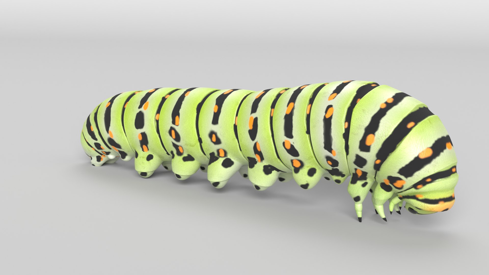 Animated Caterpillar 3D Model - TurboSquid 1918584