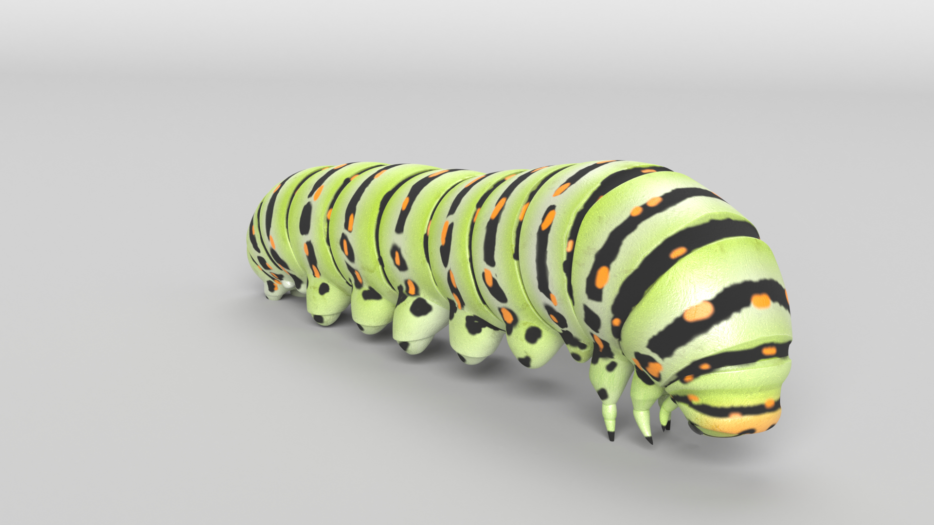 Animated Caterpillar 3D Model - TurboSquid 1918584
