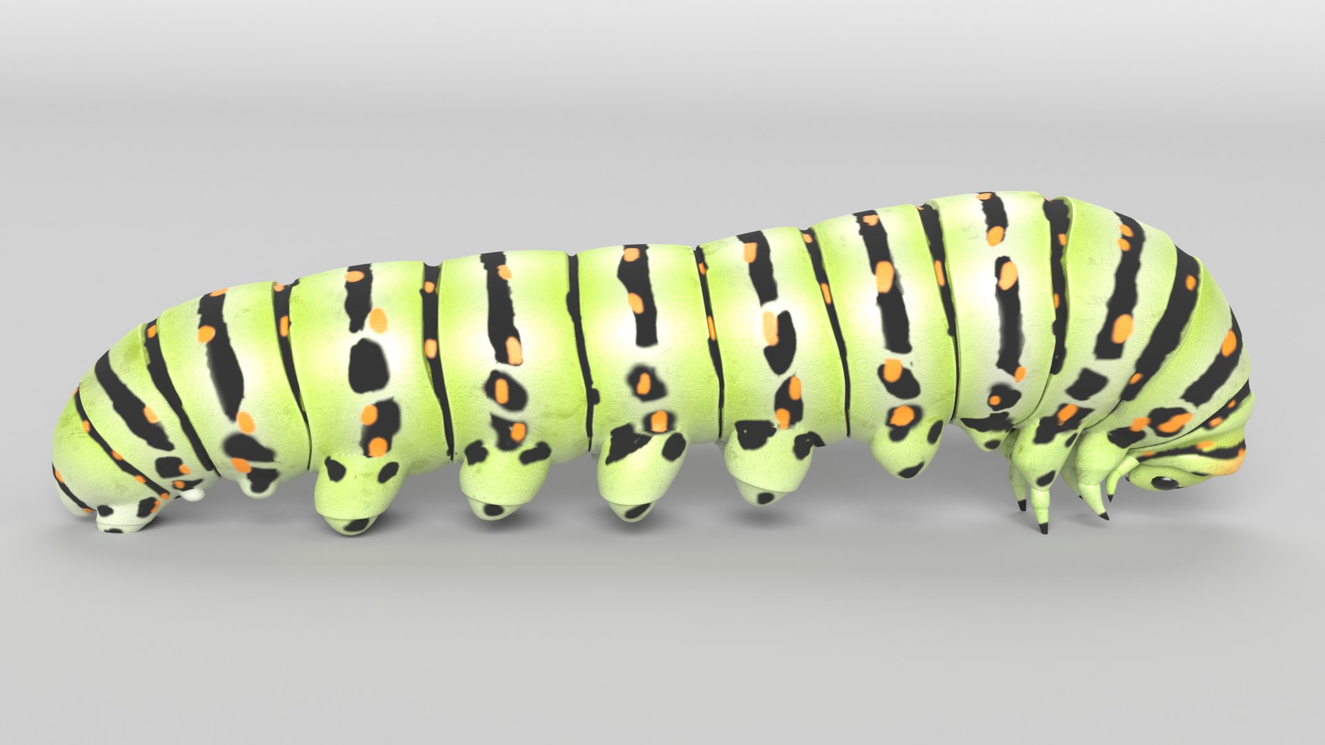 Animated Caterpillar 3D Model - TurboSquid 1918584