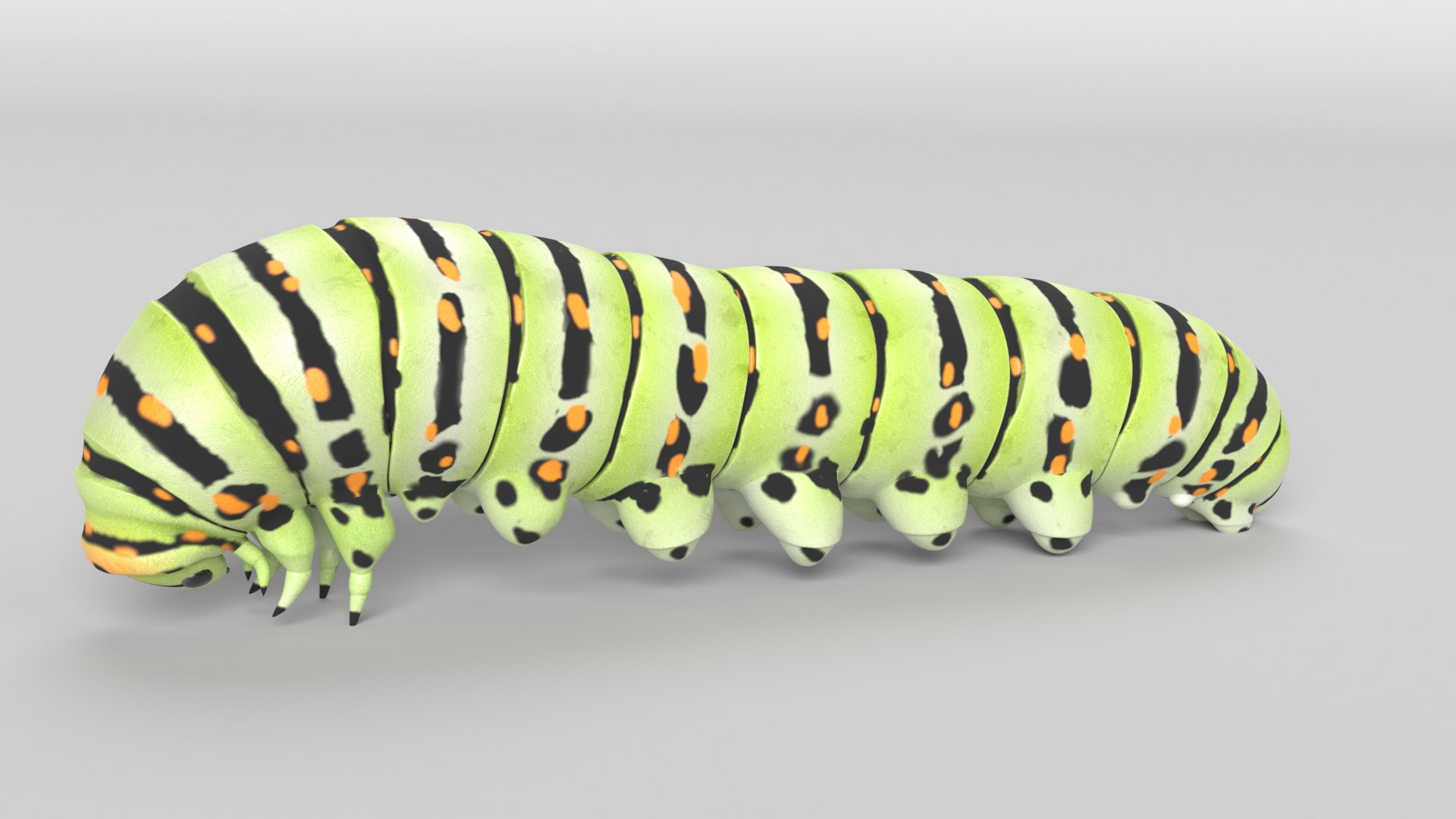 Animated Caterpillar 3D Model - TurboSquid 1918584