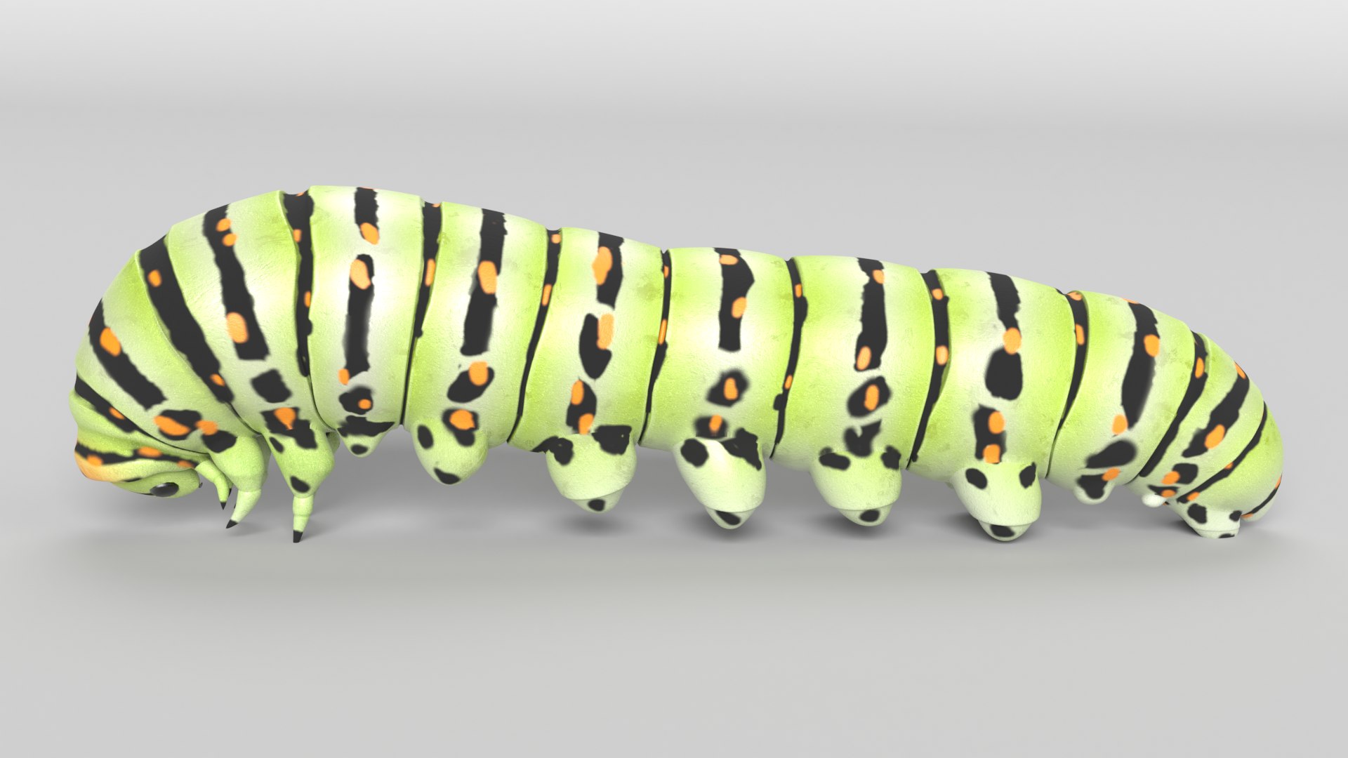 Animated Caterpillar 3D Model - TurboSquid 1918584