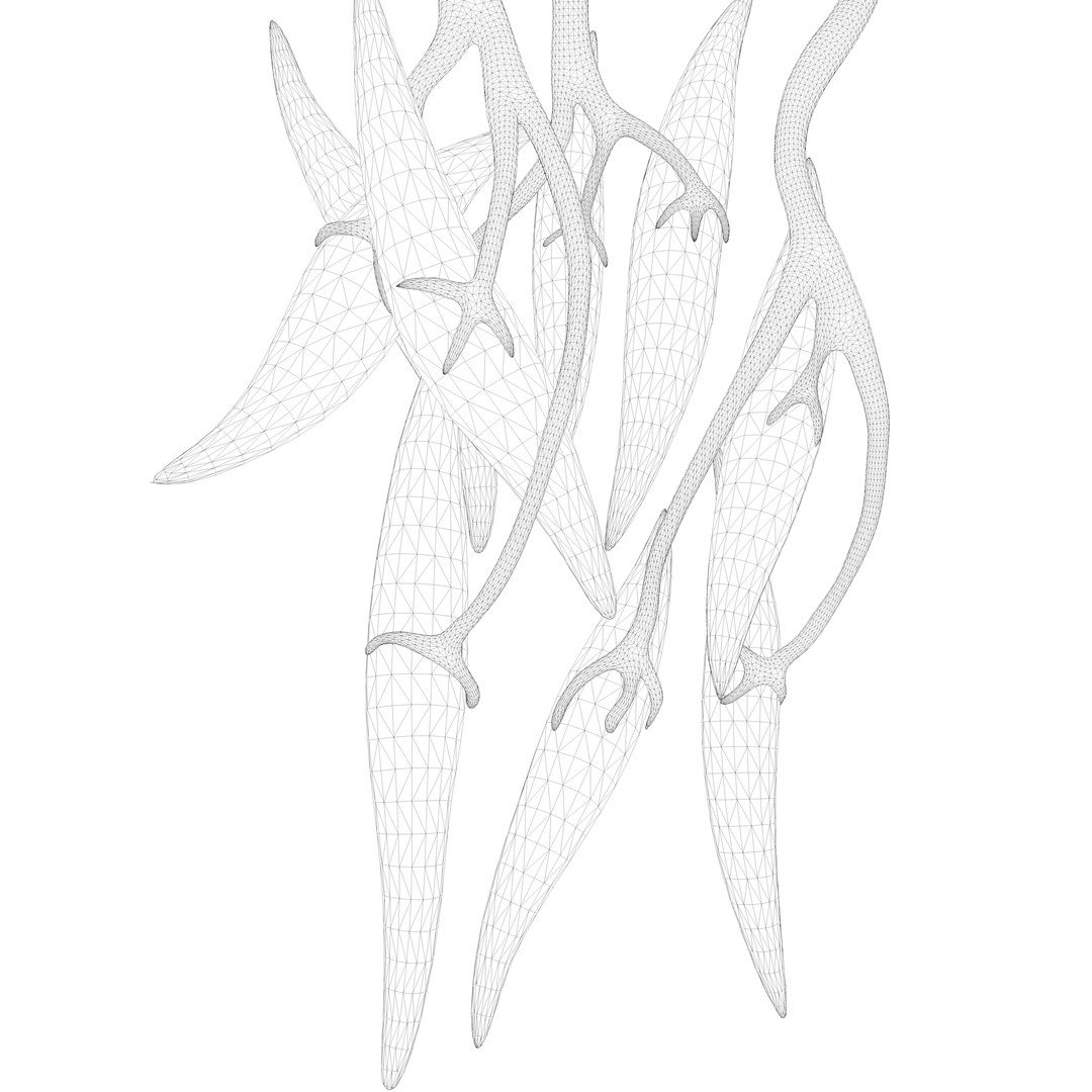 3D Model Smooth Muscle Anatomy - TurboSquid 2070920