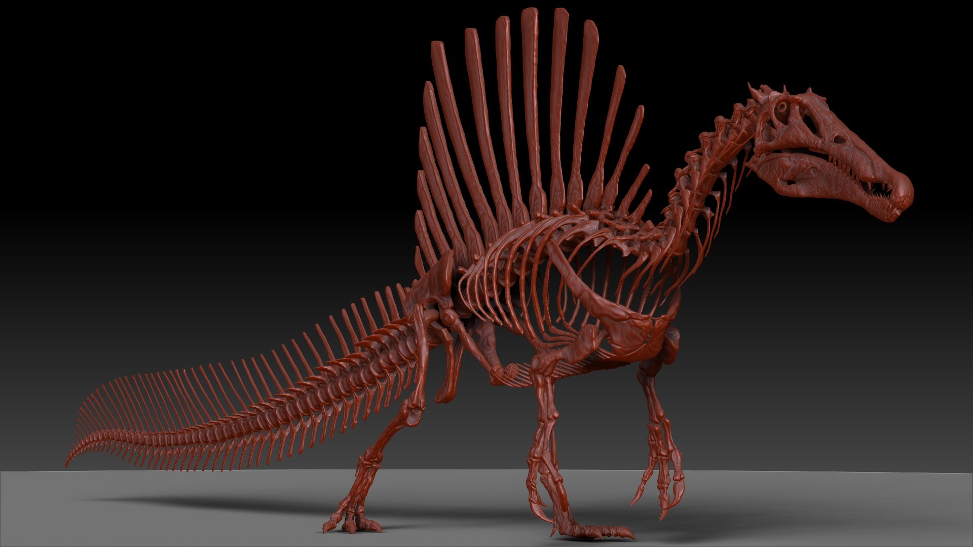 3D Model Spinosaurus 2020 Version Full Set Skeletons Sculpt Project ...