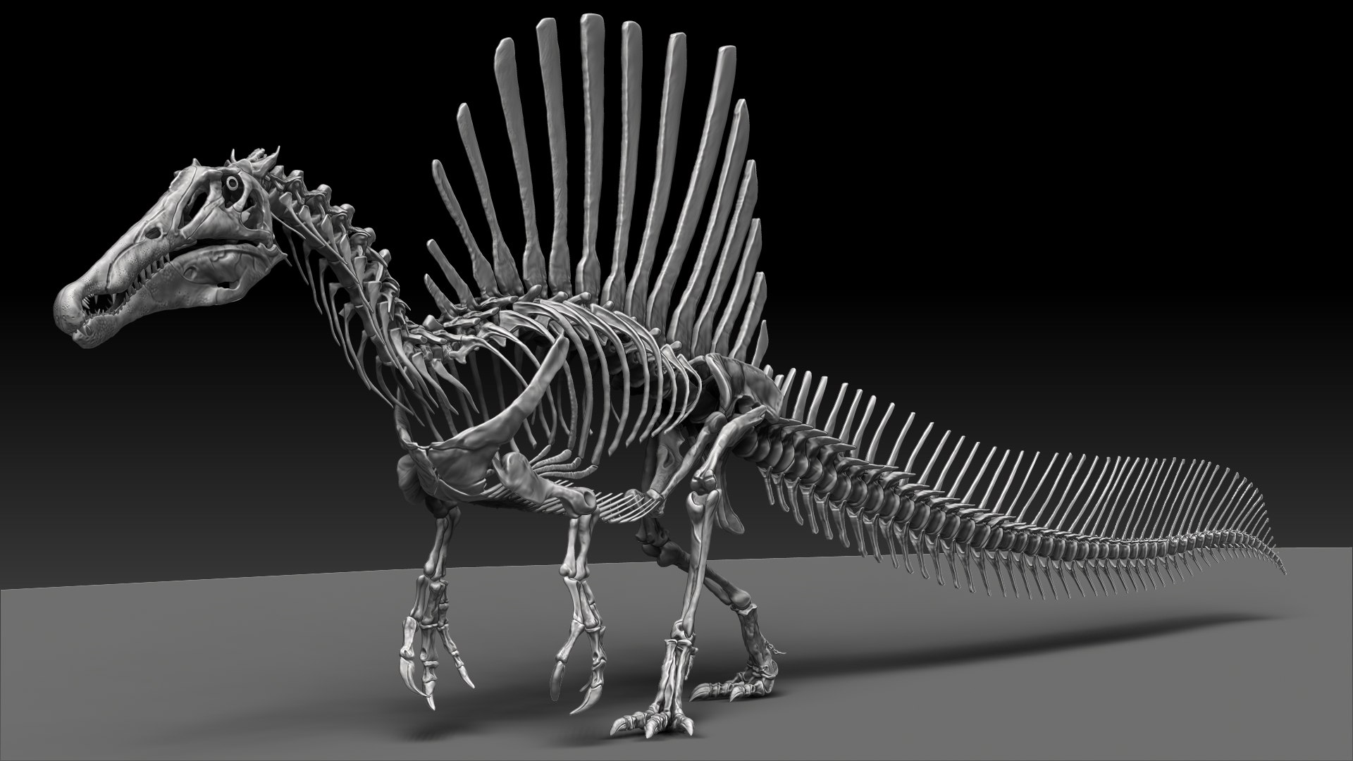 3D Model Spinosaurus 2020 Version Full Set Skeletons Sculpt Project ...