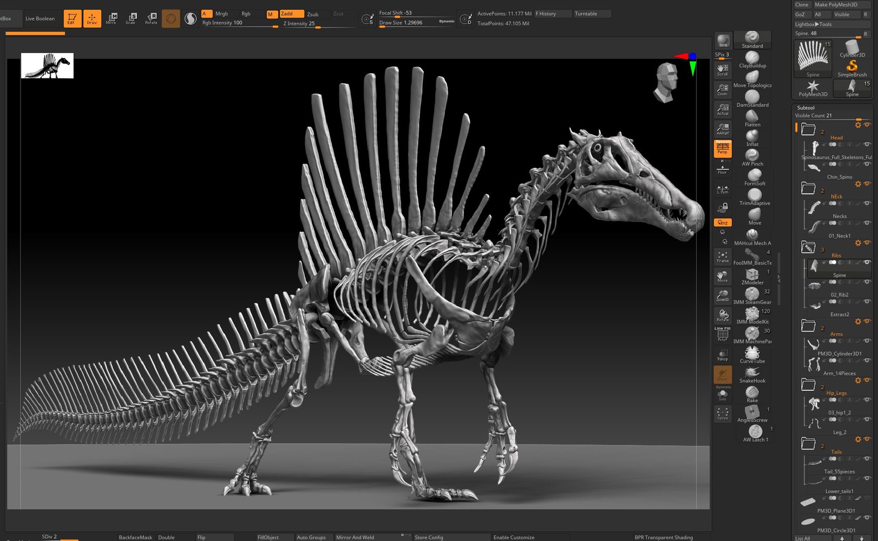 3D Model Spinosaurus 2020 Version Full Set Skeletons Sculpt Project ...