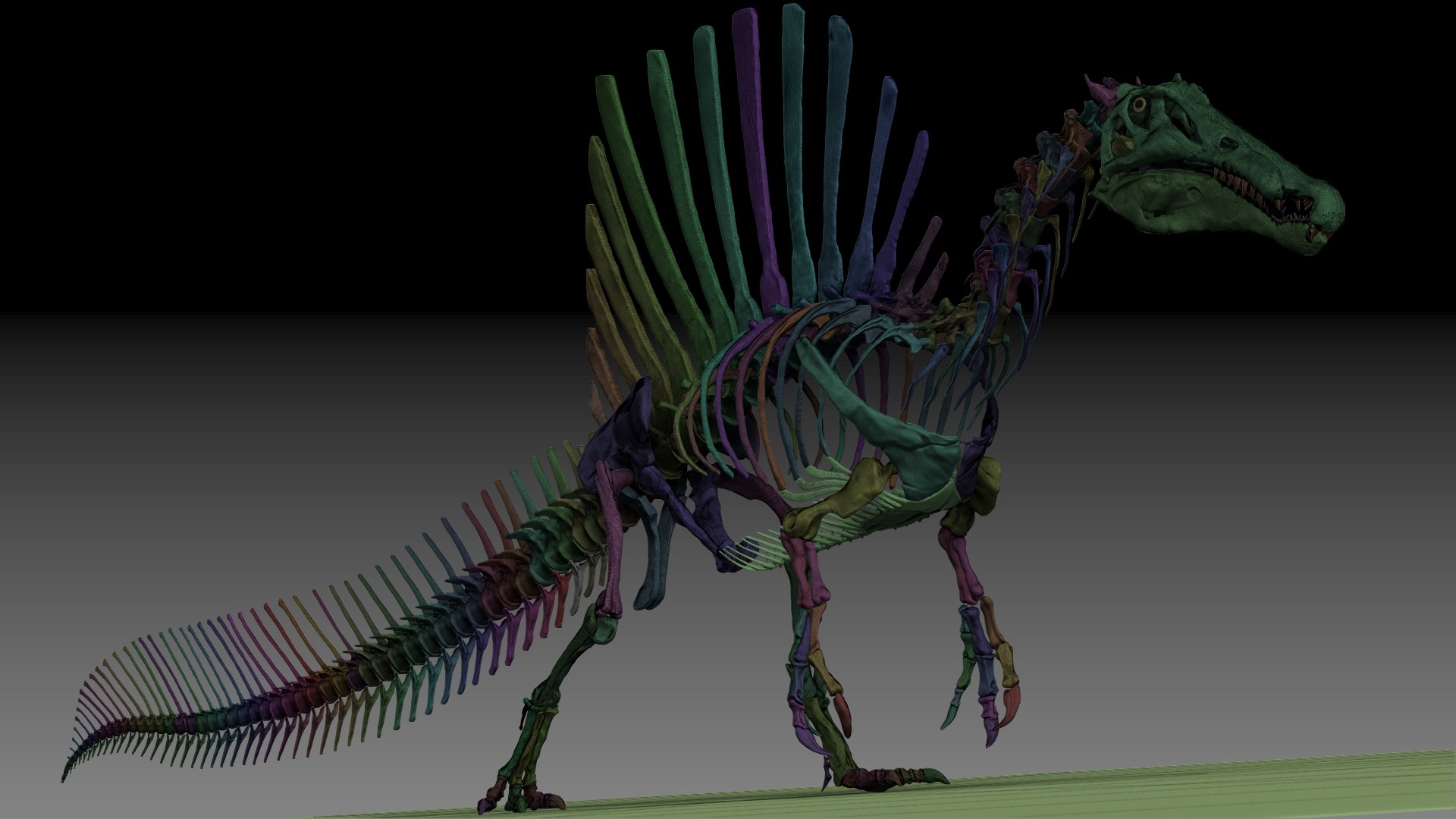 3D Model Spinosaurus 2020 Version Full Set Skeletons Sculpt Project ...