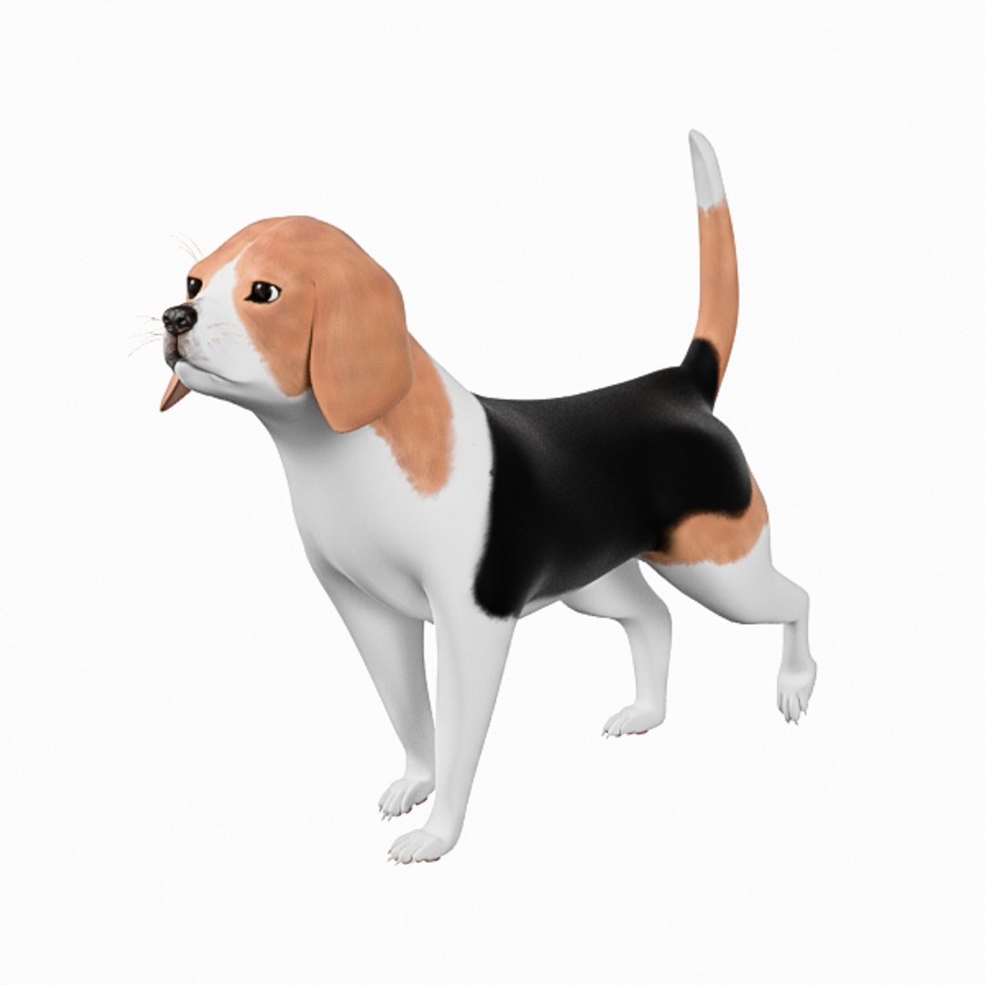 3D Beagle 01 - TurboSquid 1283780