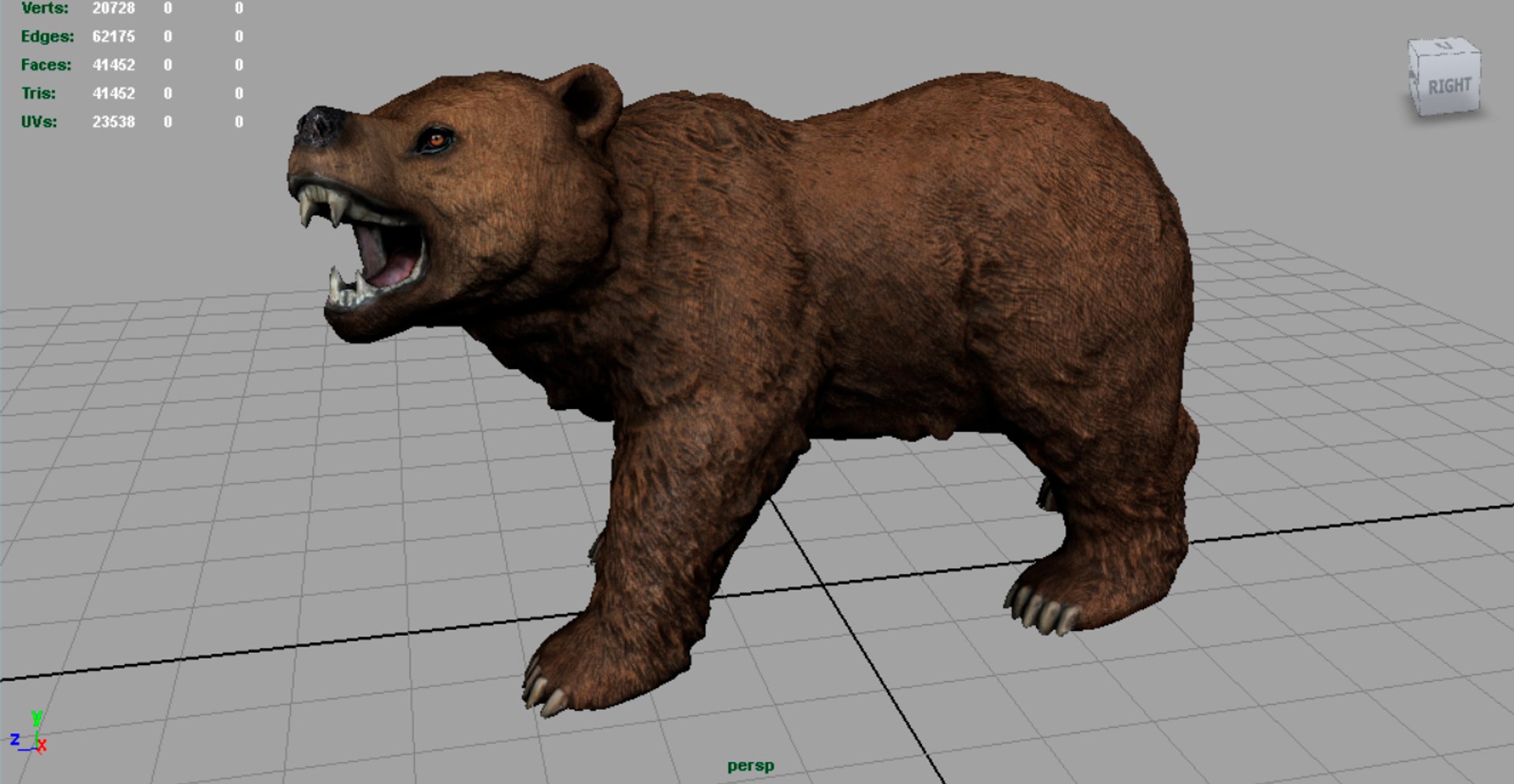 3d Bear Model