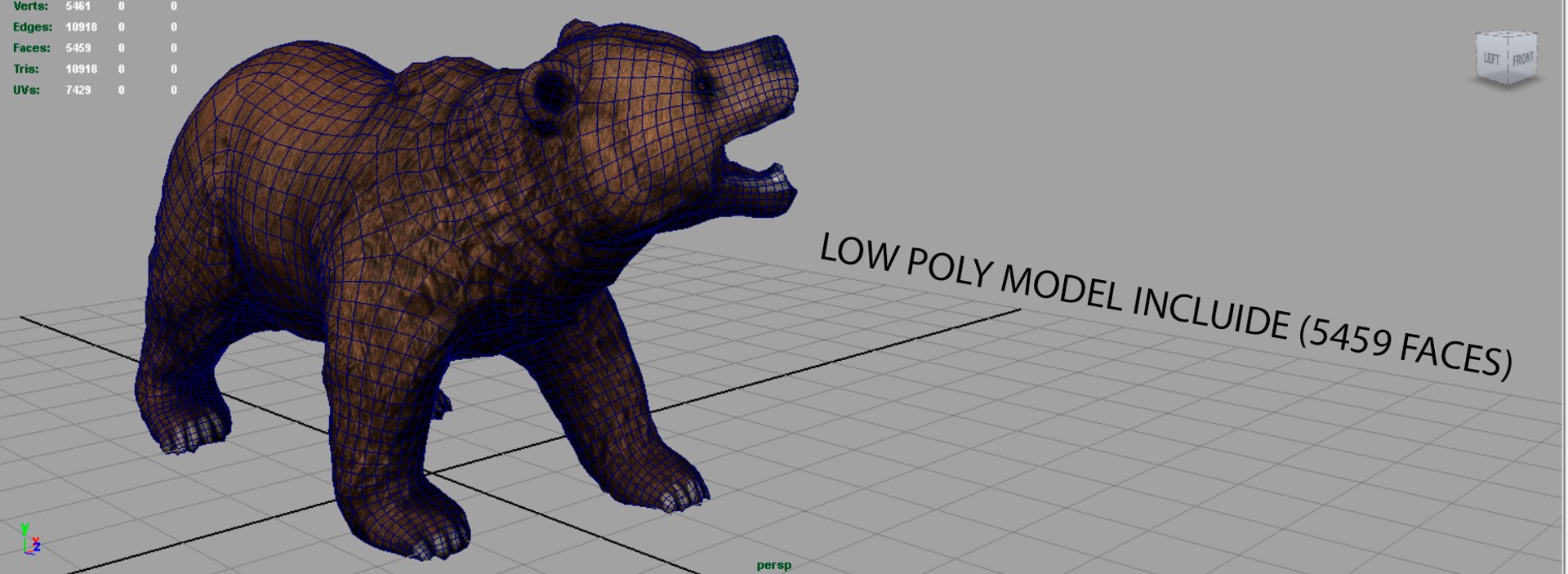 3d Bear Model