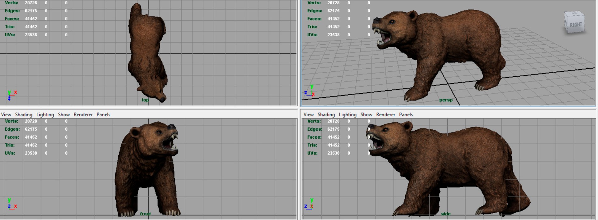 3d Bear Model