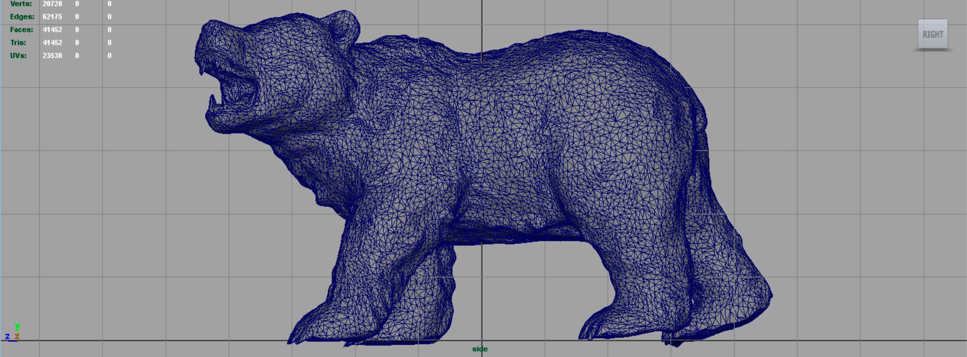 3d Bear Model