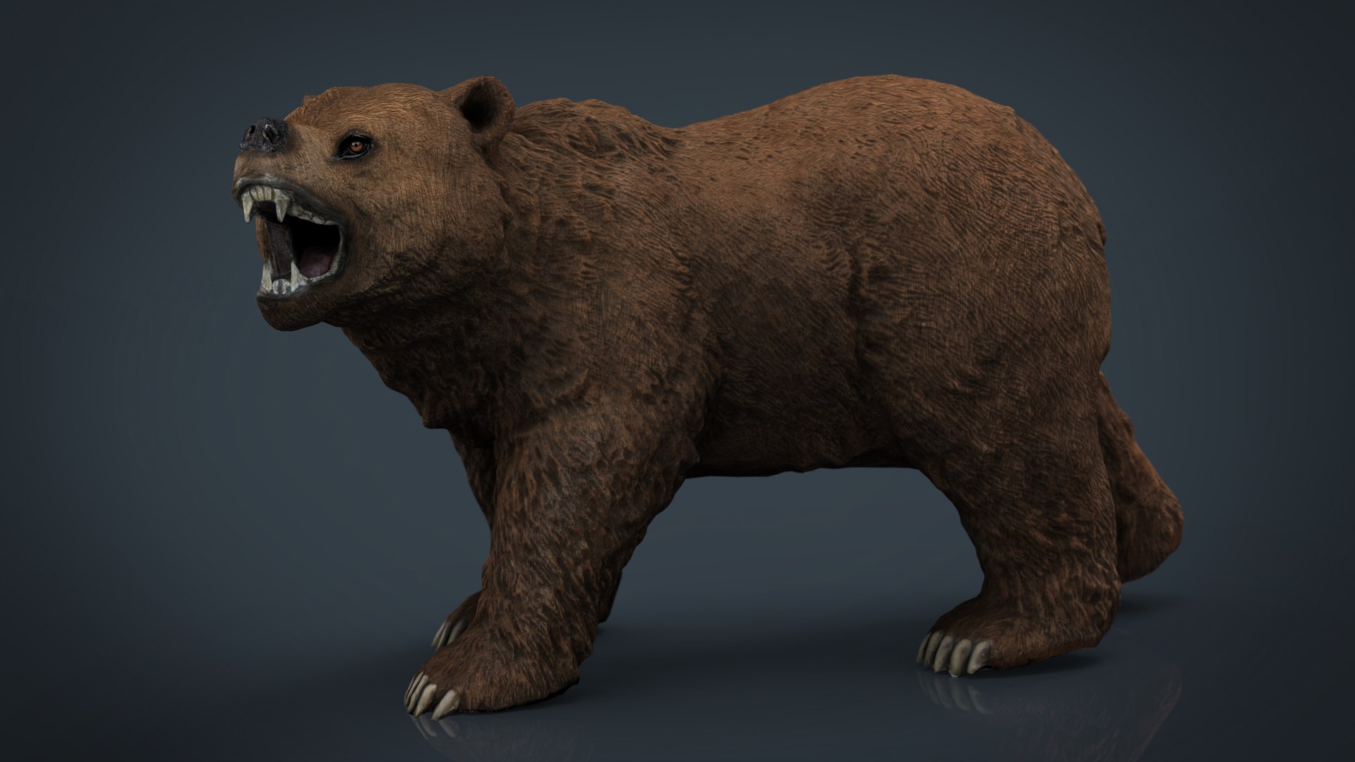 3d Bear Model