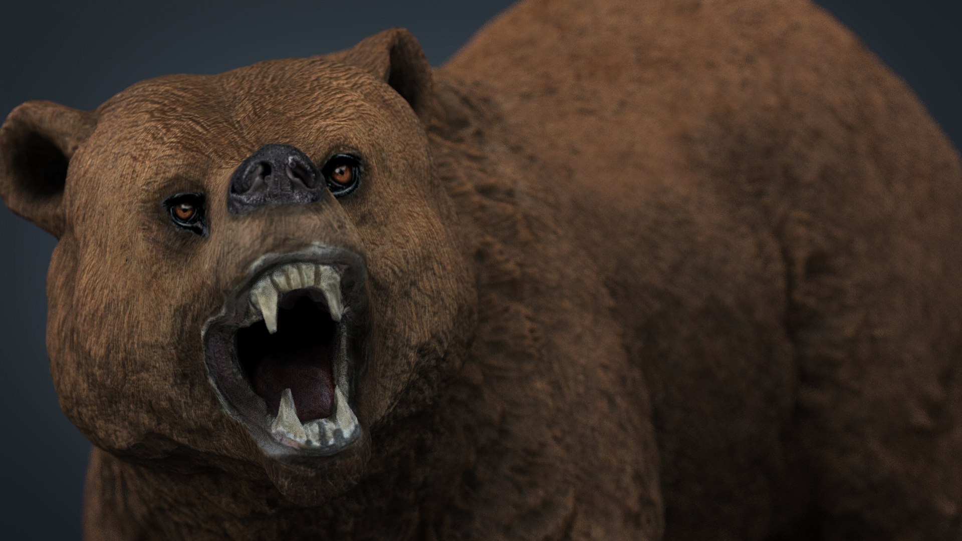 3d Bear Model