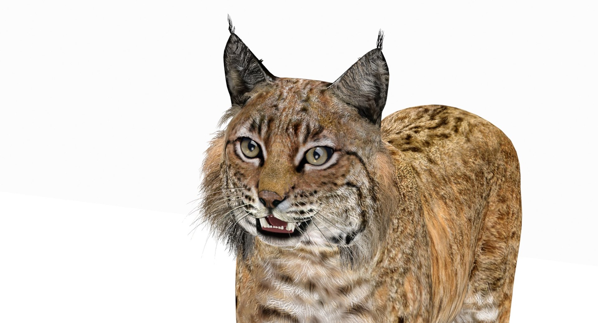 3D Bobcat Modelled Model - TurboSquid 1288945