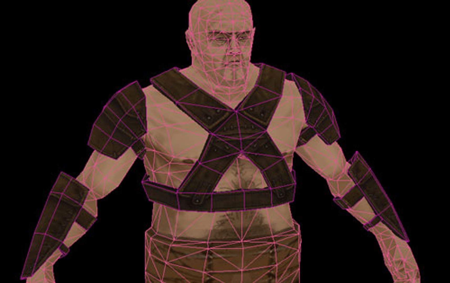 Max Fat Arena Guard