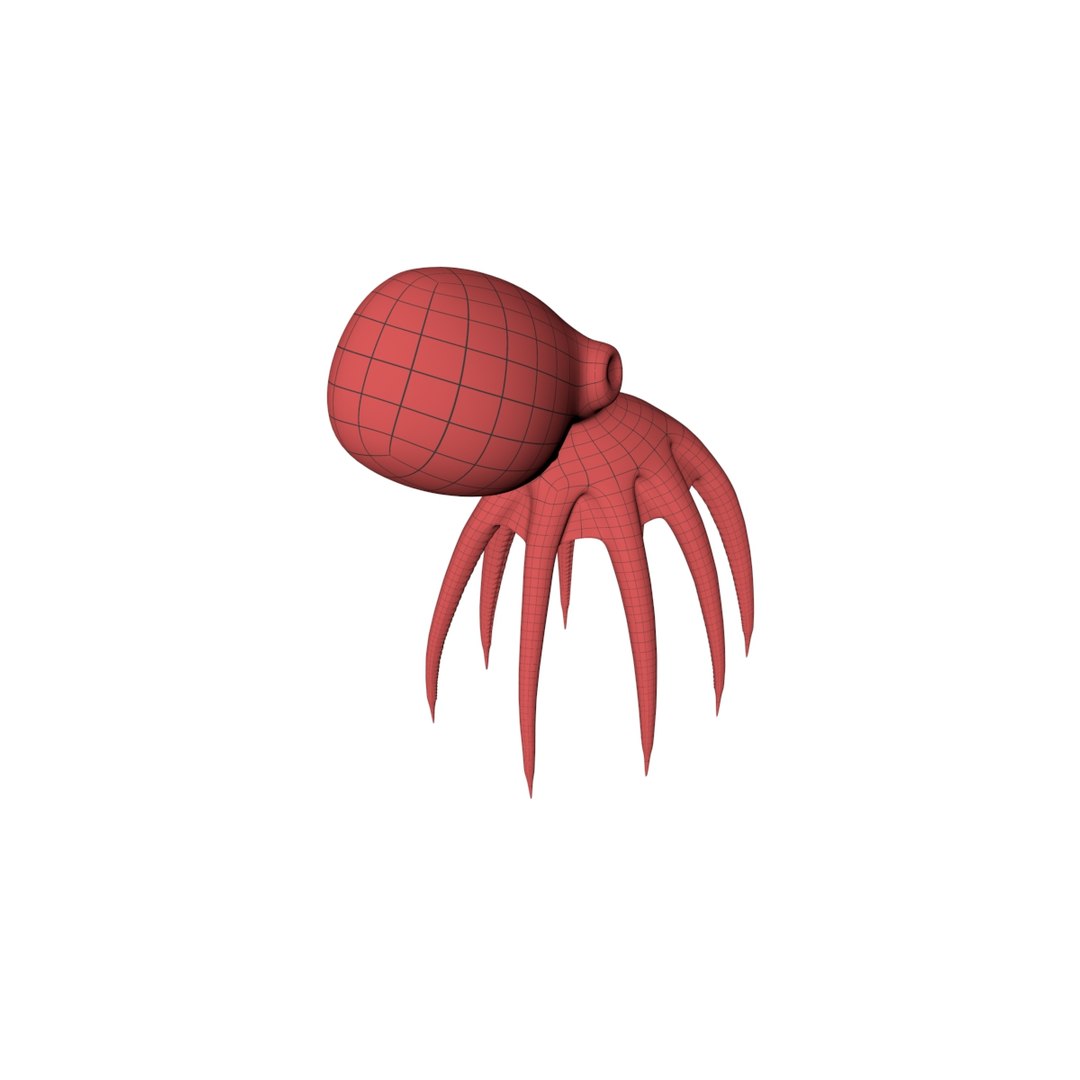 3d Base Mesh Octopus