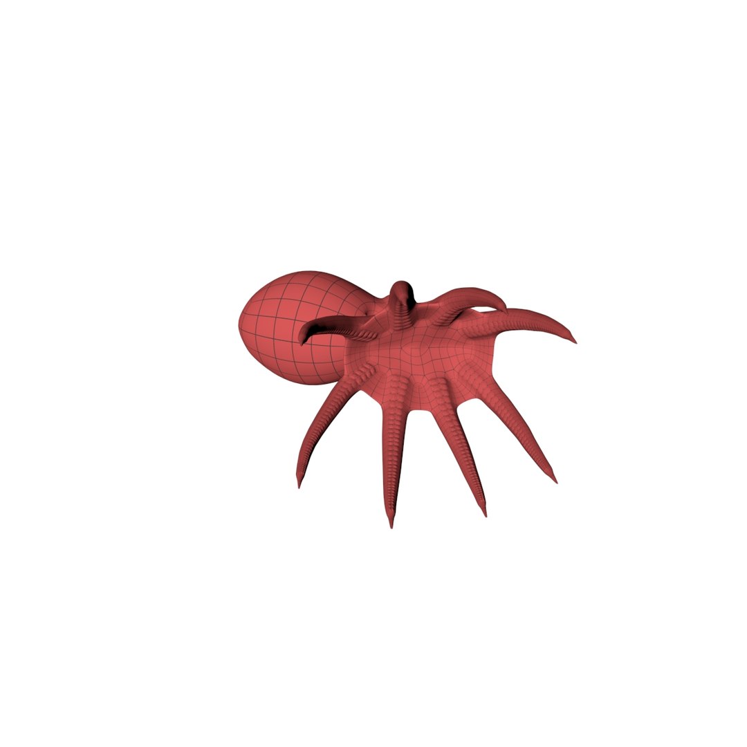 3d Base Mesh Octopus