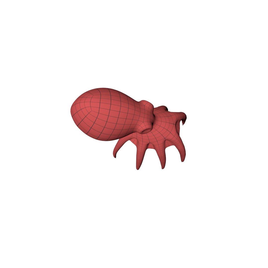 3d Base Mesh Octopus